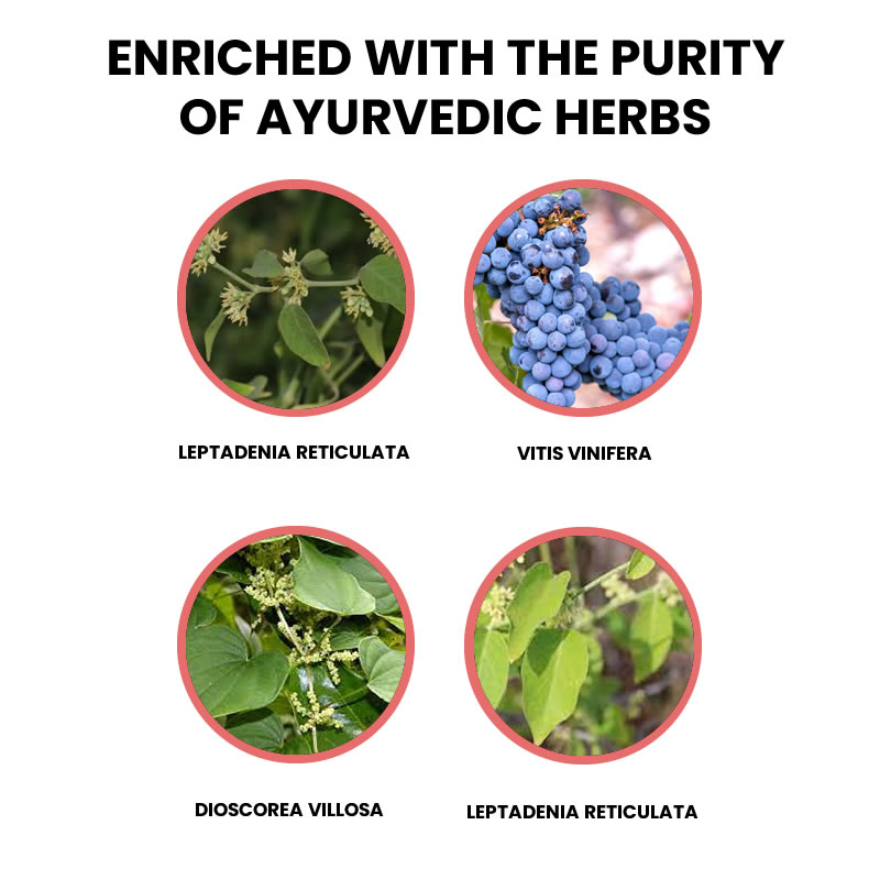 Nutritional Support in WomenFEMI VEDA Nourish & Strengthen Your Divine ...